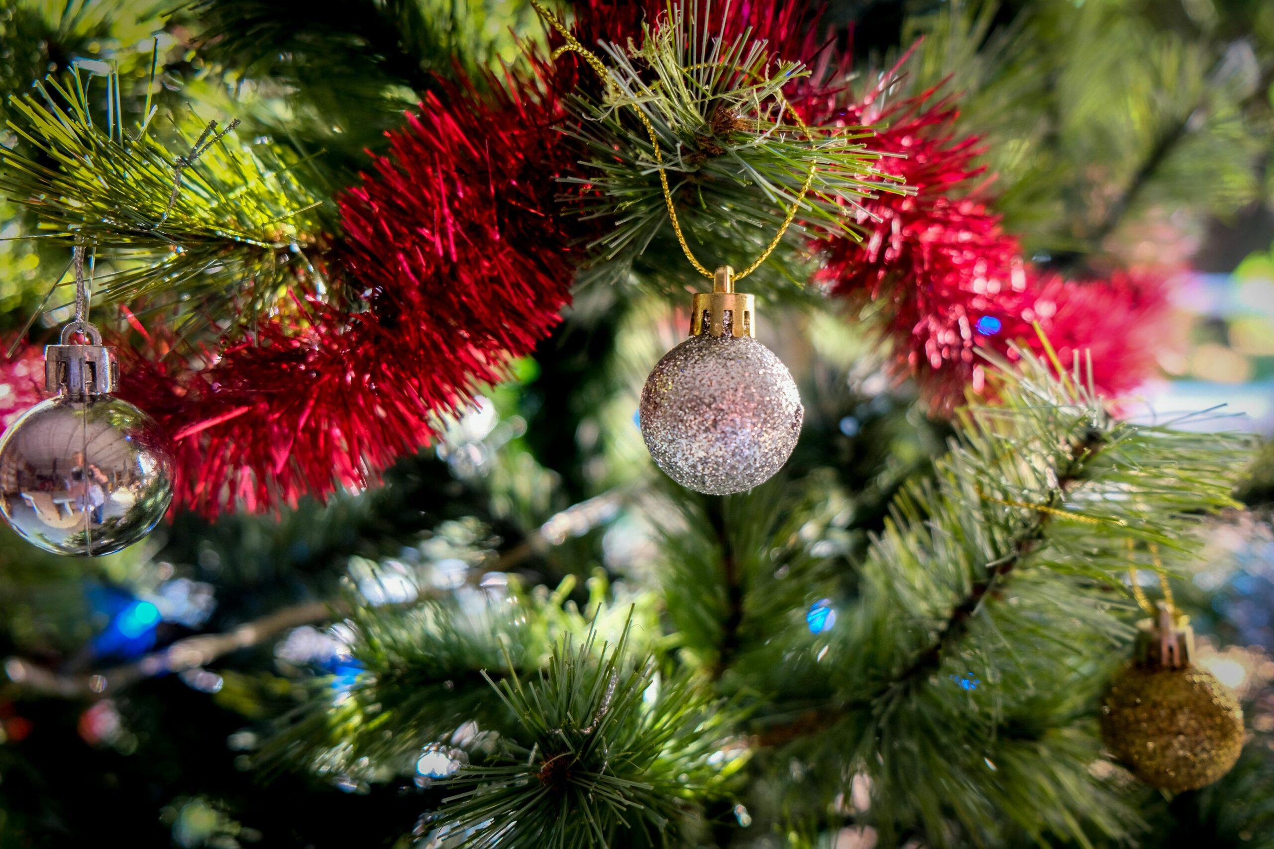 Experience the Magic of the Holidays in Brevard County: Top Events for ...